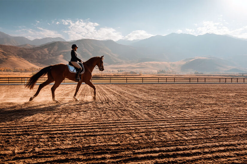 Horse Arena Footing 2026: Materials, Layers, Best Picks | US Patriot Steel